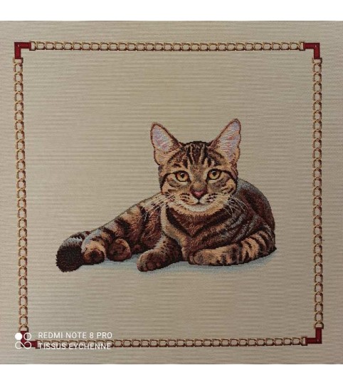 Carré jacquard - 47x47 - chat couché - finition point bourdon